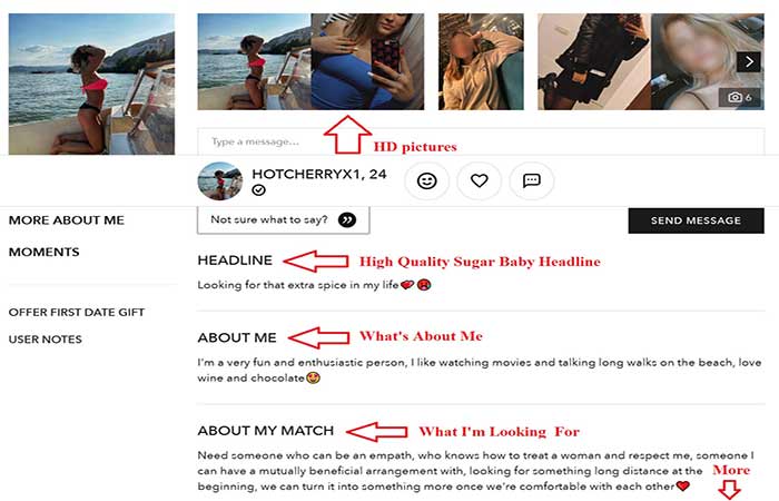 Best Sugar Baby Bio Examples Escons